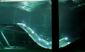 What is biomimicry? - Dassault Systèmes blog