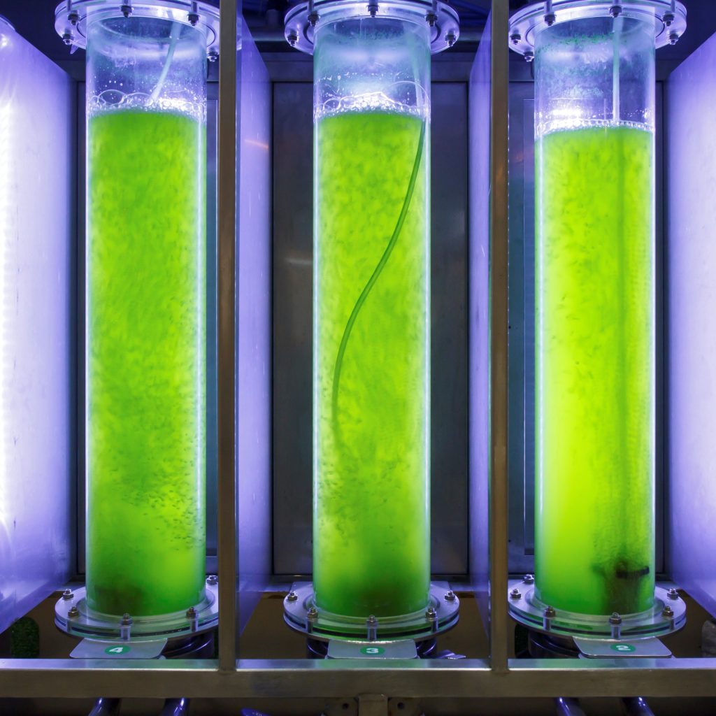 Is Sustainable Biofuel the Future of Aviation? - Dassault Systèmes blog