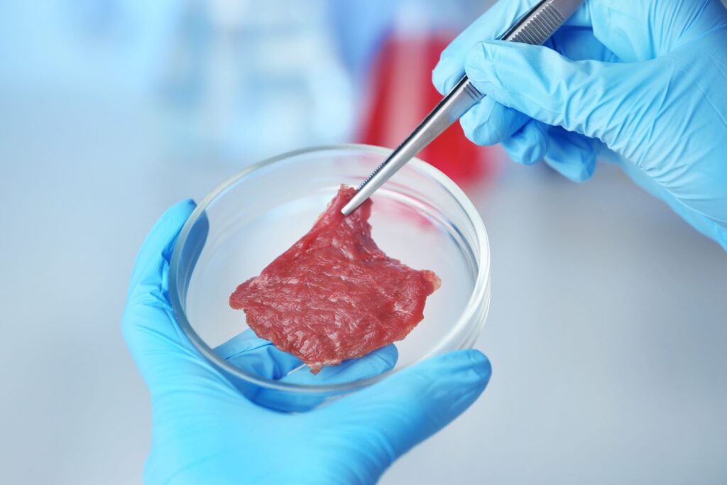 Science in Food: Cultivated Meat and Other Kinds of Meat - Dassault ...